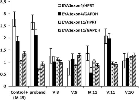 Quantitative Real Time PCR Of Exons And Exon Showing Duplication Download Scientific