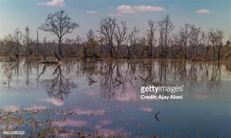 Alini Photos and Premium High Res Pictures - Getty Images