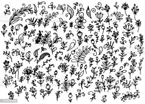 낙서 의 스타일에 손으로 그려진 잎과 열매와 꽃으로 가지로 만든 고립 된 요소의 벡터 세트 디자인 템플릿을 위한 흰색 배경에 잎과 열매 검은 윤곽이 있는 식물 식감 나뭇