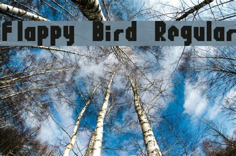 Flappy Bird Regular Font FFonts Net