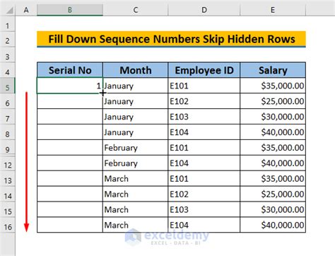 How To Use Excel Formulas To Fill Sequence Numbers Skipping Hidden Rows