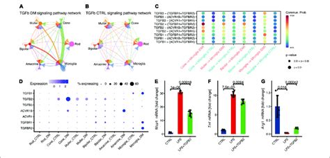 Cone communicate with microglia via TGFβ signaling pathway Download Scientific Diagram