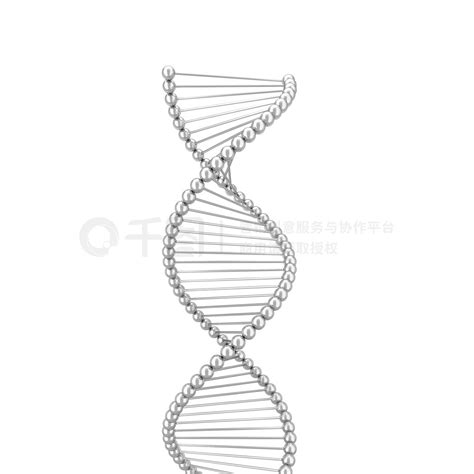 Dna高清图片 Dna分子模型 餐饮美食免费下载 格式 2429像素 编号42286920 千图网