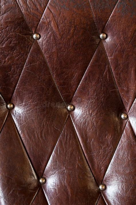 Texture Of Padding Stock Image Image Of Backgrounds 19784037