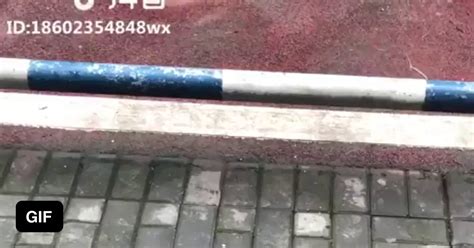 He Tried His Best Gag