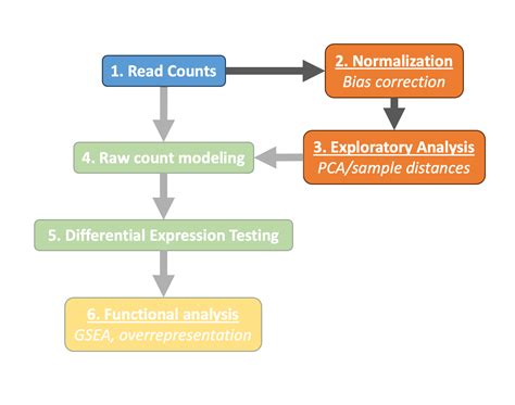 Bulk Rnaseq Data Analysis Exploratory Analysis
