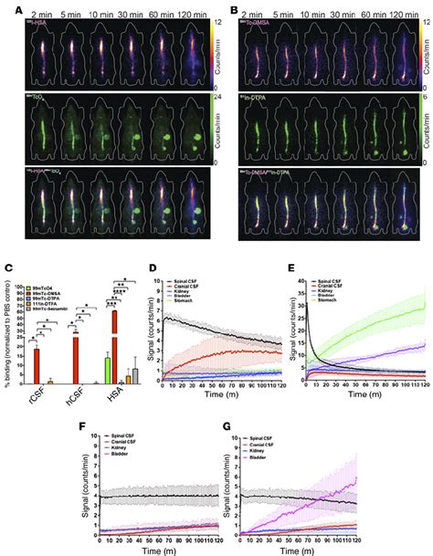 Molecular Weight And Protein Binding Affinity Affect Both The