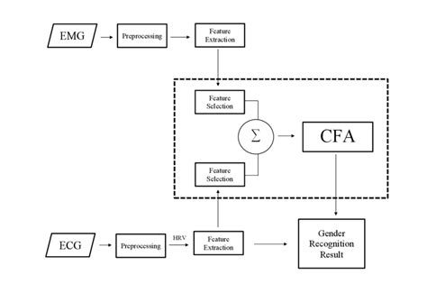 Gender Identification Process Based On Electromyography Heart Rate