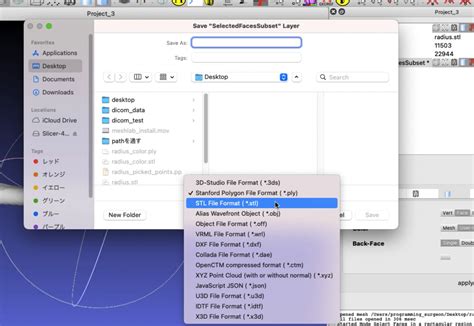 MeshLabの使い方②医療のためのPythonプログラミング