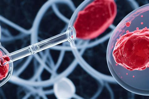 American Cancer Society Calls For Bipartisan Action On Biomarker