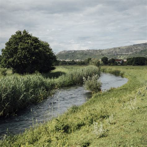 Grassed Waterways Key For Erosion Control On Farmlands