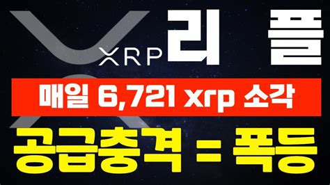 리플 Xrp 매일 6721 Xrp 소각 공급충격 폭등을 만들어냅니다 Youtube