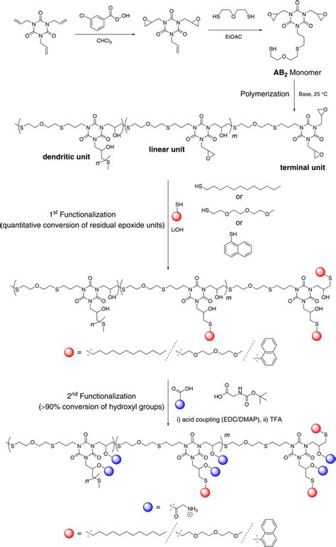 Scheme 65 Dual Functionalized Hyperbranched Polymer Synthesis Through