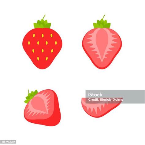 과일과 열매의 집합입니다 여름 과일입니다 과일 사과 배 딸기 오렌지 복숭아 매 화 바나나 박 파인애플 키 위 레몬 과일 벡터 컬렉션입니다 벡터 일러스트입니다 건강한 식생활에