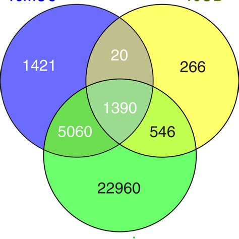 Kinome Profiling Pathway Analysis On The Set Of Significant Pathways