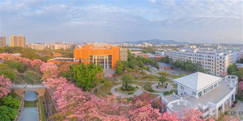 系内动态软件工程系数据科学与大数据技术教研室举行专业技能授课竞赛 广州软件学院软件与人工智能学院 系内动态软件工程系数据科学与大数据技术教研室举行专业技能授课竞赛 广州软件学院软件与人工智能学院