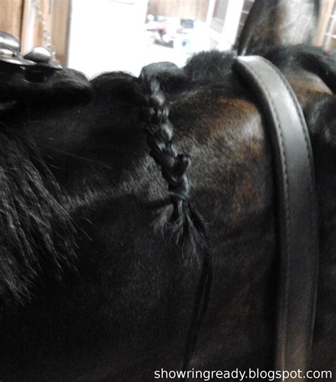 Show Ring Ready Foolproof Jumper Braids