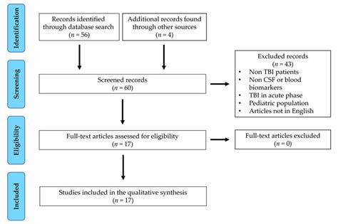 Flow Of The Scoping Review Download Scientific Diagram