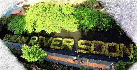 Vetiver Grass Technology Philippines Mandaluyong