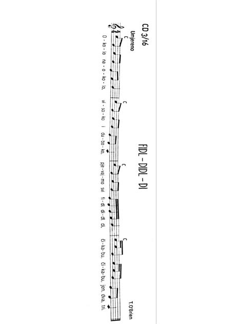 fidl didl pdf pdf