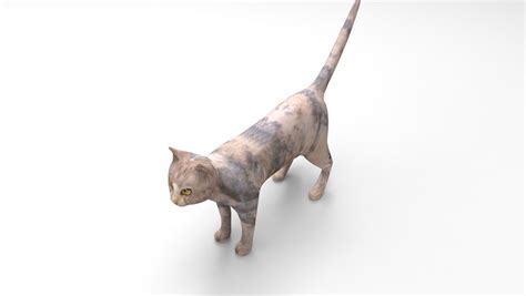 猫动画 3d模型 29 3ds Fbx Max Ma Obj Free3d