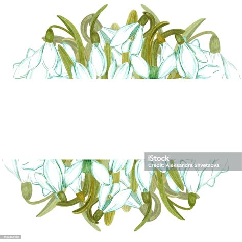 손으로 그린 수채화 헌병 꽃과 흰색 배경에 프레임 하숙인을 나뭇잎 섬유 스크랩북 디자인 배너 인사말 카드 초대장에 사용할 수 있습니다 0명에 대한 스톡 벡터 아트 및 기타