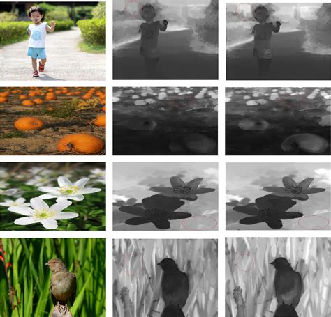Figure 1 From Defocus Map Estimation From A Single Image Using