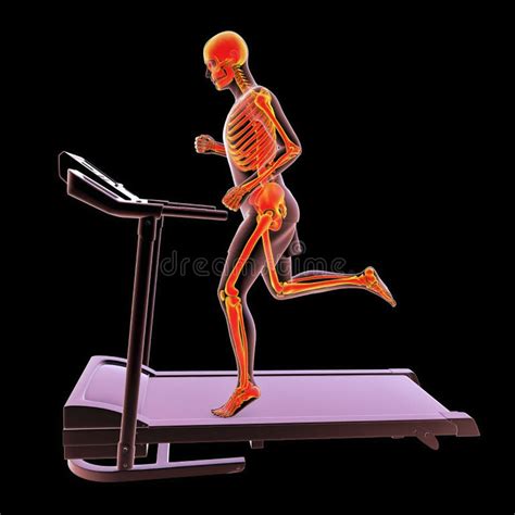 Man Running On Treadmill With Highlighted Skeleton Showing Skeletal