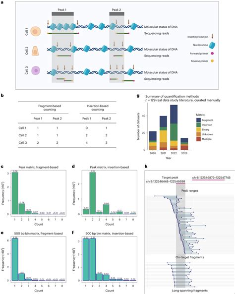 existing counting strategies for snatac seq data processing are