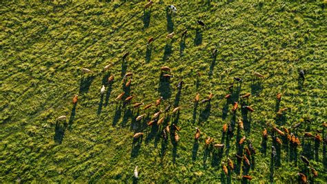 usda ars now stewarding the rangeland analysis platform on land