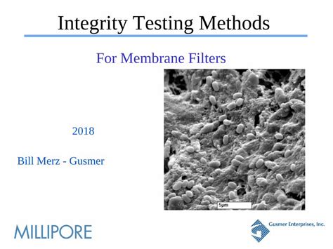 Pdf Integrity Testing Methods Winemaking• Diffusion Flow