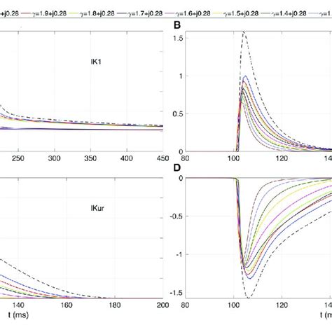 Transmembrane Ionic Currents Registered At The Center Of The Atrial Download Scientific