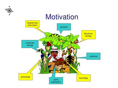 Ppt Sequence Retrieval System Srs Powerpoint Presentation Free