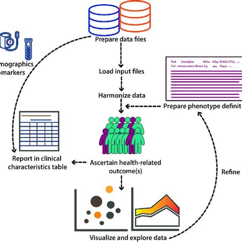Overview Of The Workflow Download Scientific Diagram