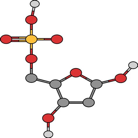 Deoxyribose Phosphate Backbone Molecule Figure Science Figures
