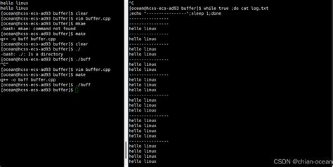 Linux 文件缓冲区：高效数据访问的幕后推手 Csdn博客