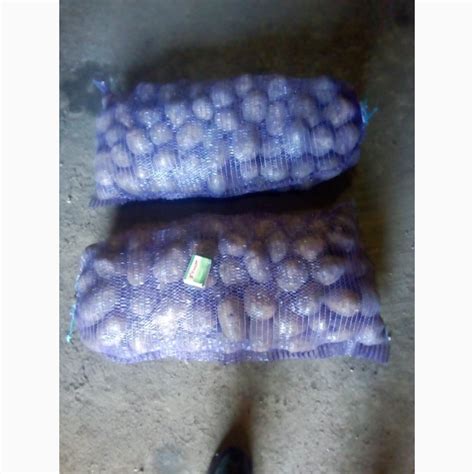 Продаем картофель продовольственный сорт Гала Орловская обл —