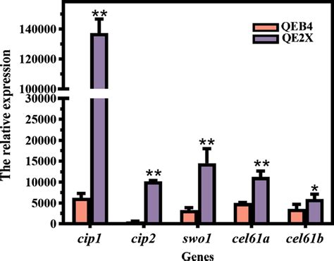 Transcript Analysis For Genes Encoding Accessory Proteins Of T Reesei Download Scientific