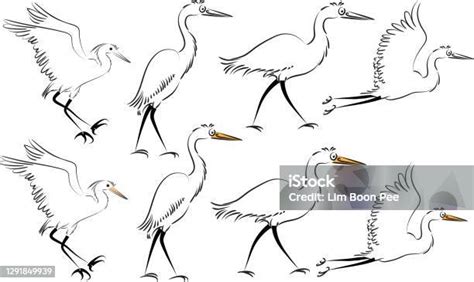 Vector Dessin Heron Design Action Set Background Vector Drawing Heron