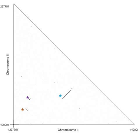 paralogy in the copy number variable chromosome iii region axes report