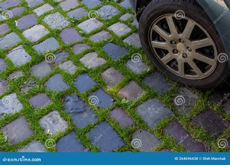 Pavement And Grass Background Royalty Free Stock Image Cartoondealer