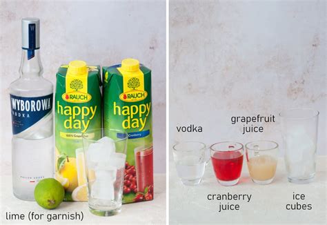 Sea Breeze Cocktail 3 Ingredient Drink Everyday Delicious