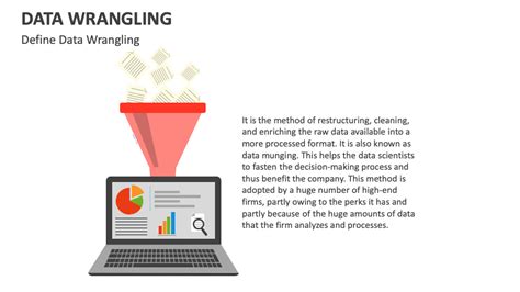 Data Wrangling PowerPoint And Google Slides Template PPT Slides