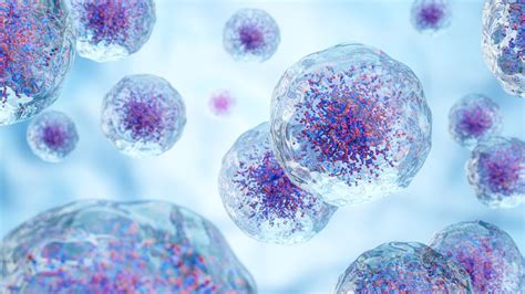 Arralyze® Launches Cellshepherd® A Fully Autonomous Single Cell