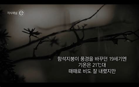 프랑스 파리에서 한여름에 1만명 이상이 사망한 이유  포텐 터짐 화제순 에펨코리아