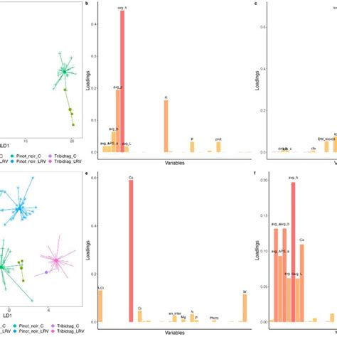 Plots Generated By Discriminant Analysis Of Principal Components Dapc