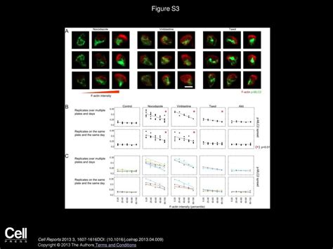 Volume 3 Issue 5 Pages May 2013 Ppt Download