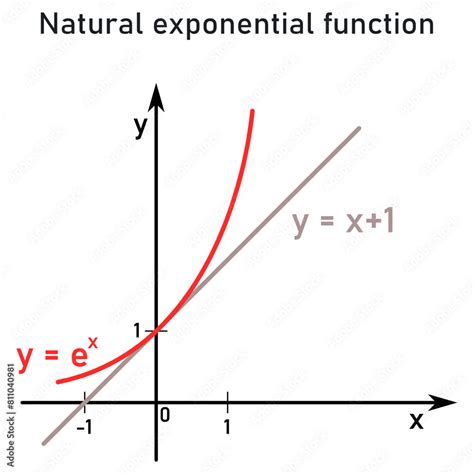 A Graphical Representation Of The Natural Exponential Function Compared To Its Tangent Linear X