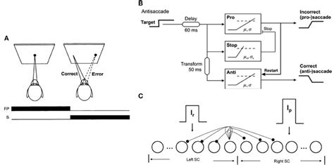 A Mirror Antisaccade Task B Noorani And Carpenter 2014 Model For