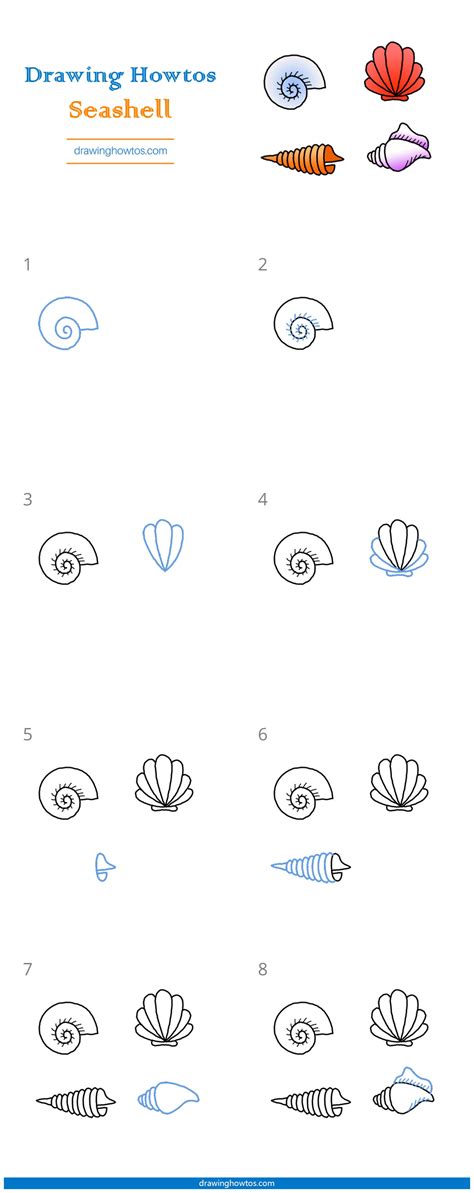 How To Draw A Shell